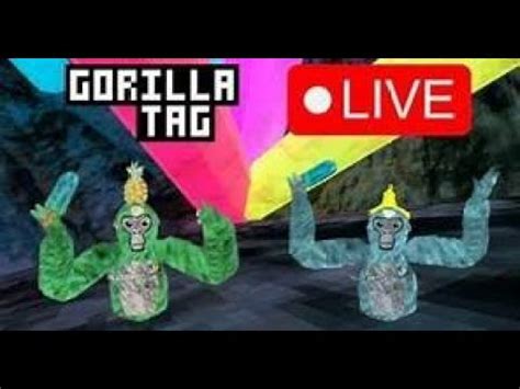 STREAM TO 2K GORILLA TAG LIVE WITH VIEWERS CODE IS IN STREAM You