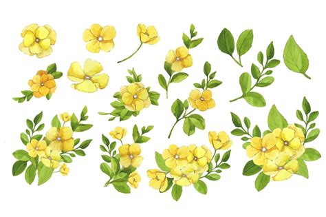 Conjunto De Flores Amarillas Acuarelas Vector Premium
