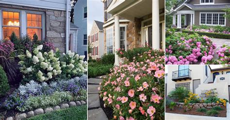 24 Stunning Flower Bed Ideas For Front Of House Balcony Garden Web