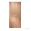 JELD WEN 28 In X 80 In Hardboard Flush Unfinished Solid Core Hardwood