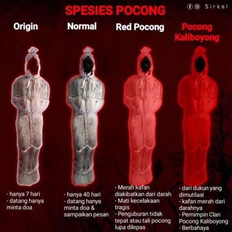 Jenis Jenis Spesies Hantu Yang Selama Ini Nggak Banyak Orang Tahu