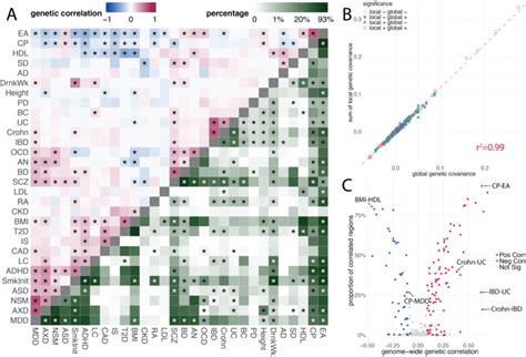 global and local genetic correlations among 30 complex traits a download scientific diagram