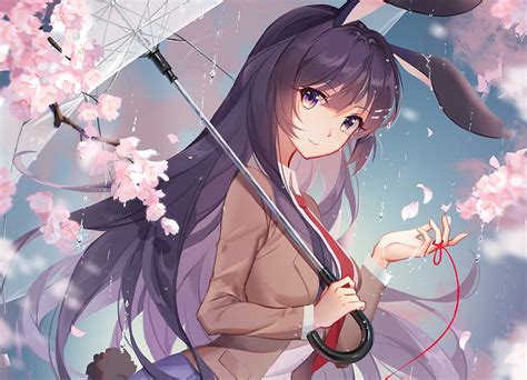 Anime Bunny Girl Bunny Senpai Hd Wallpaper Pxfuel