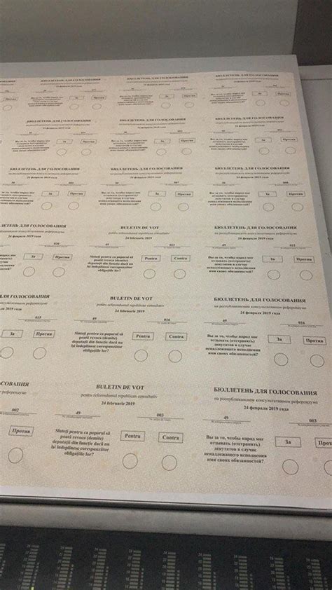 Cum Arat Buletinele De Vot Tip Rite Pentru Referendum Stiri Md