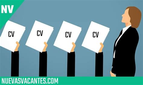 Tipos De Currículum Vitae Y Sus Características 2023 NUEVASVACANTES