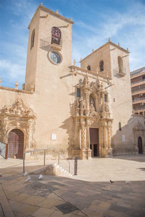 La Basílica de Santa María de Alicante abre sus puertas a las visitas
