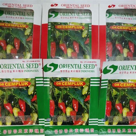 Jual Benih Cabai Rawit Putih OR CEMPLUK 10 GR ORIENTAL SEED Shopee