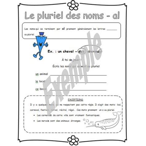 Le Pluriel Des Noms Exercices Affiche