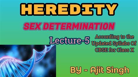 heredity sex determination lecture 5 for the class x cbse youtube