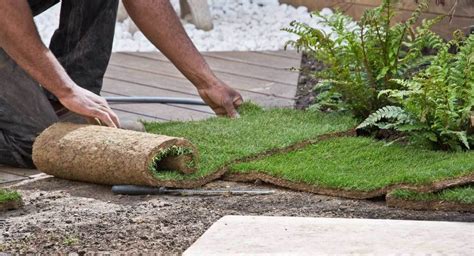 How To Install Artificial Grass On Dirt A Complete Guide