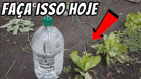 Como Montar um Sistema de Irrigação por Gotejamento Garrafa PET de