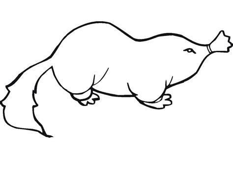 Mole 8 Coloring Play Free Coloring Game Online