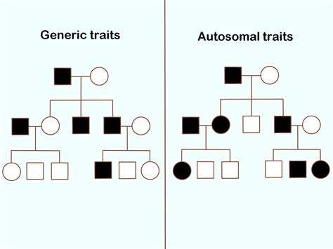 Autosomal Dominant Pedigree Chart Example