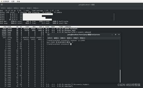【linux下进程的cpu配置和线程绑定】 linux 指定cpu核心 csdn博客