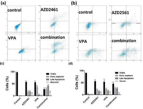 Flow Cytometry Of Apoptosis By Annexin V And Propidium Iodide PI
