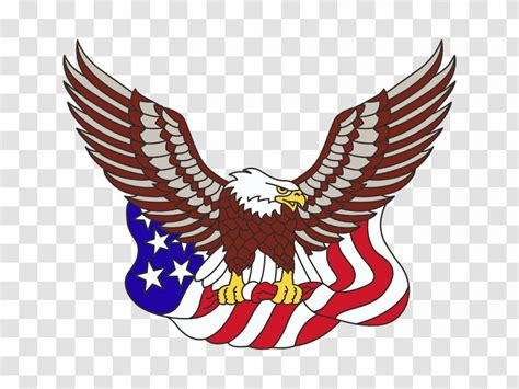 Bald Eagle United States Of America Flag The Clip Art Crest