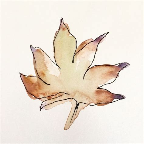 Autumn Leaves Illustration Ink Drawing Art Leaf Brown Acrylic Residency