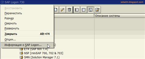 Sidadm Sap Gui For Windows Sap Gui For Java