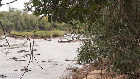 PMA autua pescador profissional em R 1 4 mil por pesca predatória