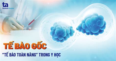 Khái niệm công nghệ tế bào Ý nghĩa và ứng dụng trong cuộc sống