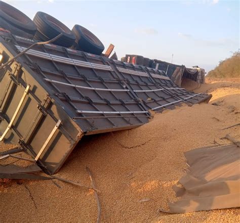 Carreta tomba e espalha carga de milho às margens da BR 163 entre Sinop