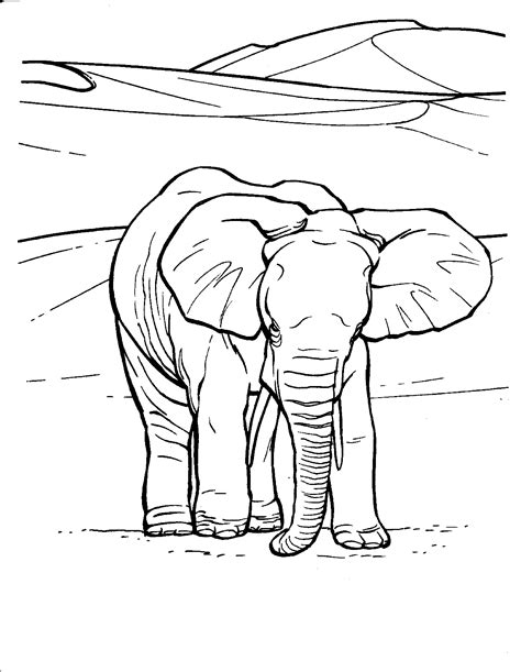 Coloriages éléphant à imprimer