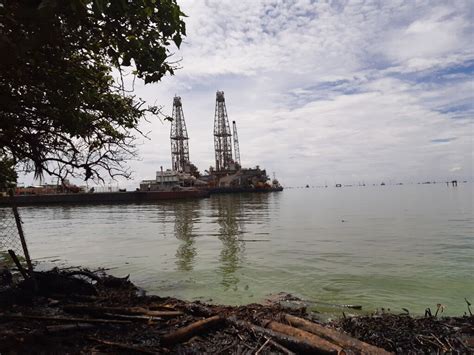 Observatorio de Ecología 86 derrames petroleros se registraron en