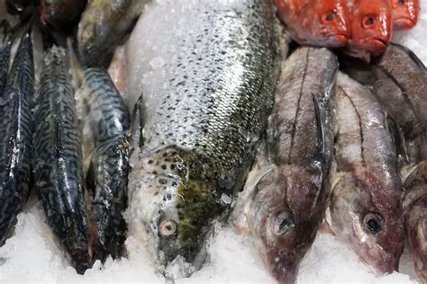 Cómo reconocer el pescado fresco Tienda Grupo Dagustin