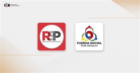 El Consejo Estatal acredita los partidos políticos nacionales Redes