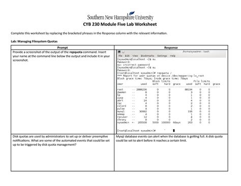 Cyb Module Five Lab Worksheet Cyb Module Five Lab Worksheet