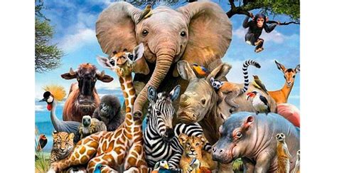 Por qué se celebra el Día Mundial de los Animales el 4 de octubre