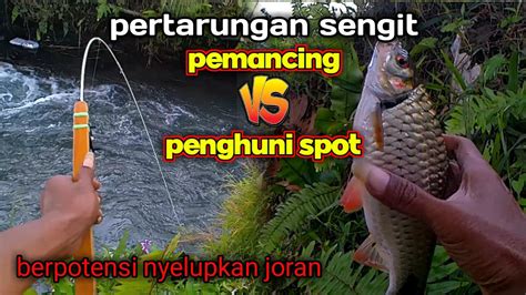 REKOR MONSTER WADER Tarikan Wader Super Babon Bikin Panik