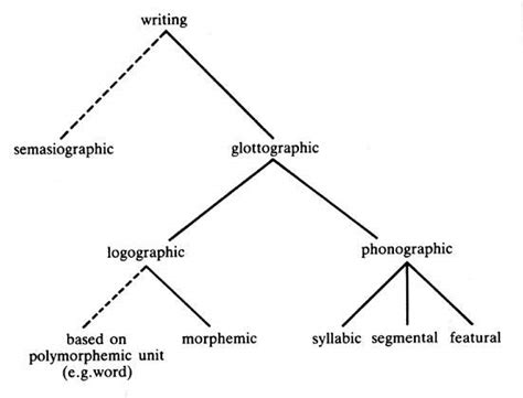 Diagramma Ad Albero Linguistica Esempi