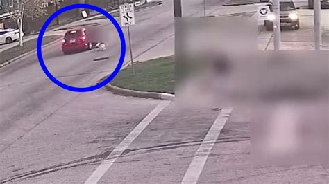 Sospechoso Arrastra A Una Mujer Junto Con Su Perro Para Robarla Y Queda