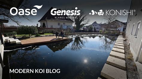 Modern Koi Blog