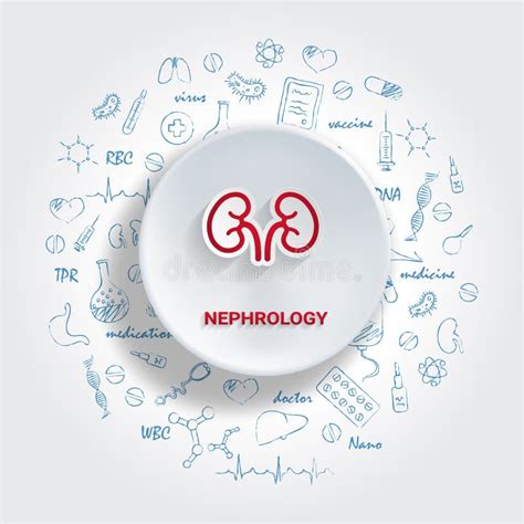 Icônes Pour Des Spécialités Médicales Concept De Néphrologie
