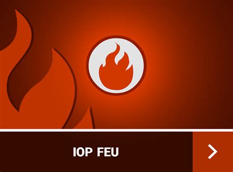 Dofus Iop Guide Et Stuff Nos Builds Du Niveau Au Niveau