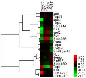hierarchical cluster analysis of dna microarray data obtained from 21 download scientific