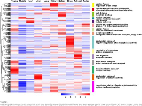 Figure 5 From The Combination Of SMRT Sequencing And Illumina