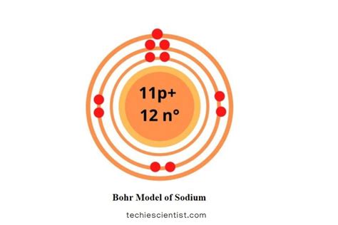 Sodium Bohr Model Diagram Steps To Draw Techiescientist
