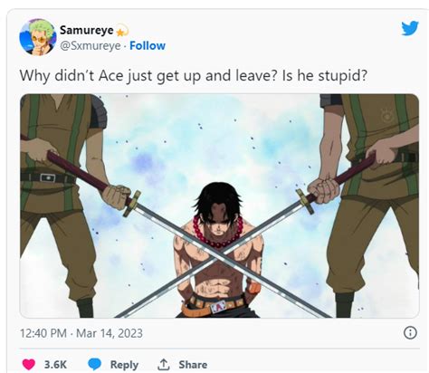 Is He Stupid Is She Smart Are They Stupid Know Your Meme