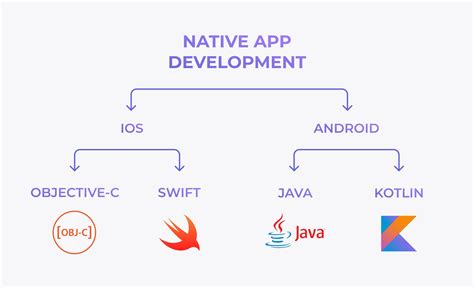 React Native From Beginner To Mobile App Programmer