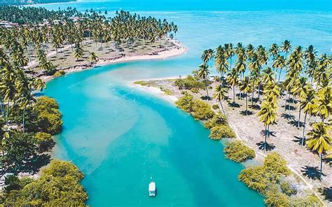 O Que Fazer Em Maragogi Passeios No Caribe Brasileiro Para