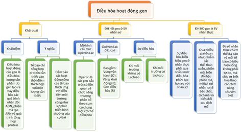 Sơ đồ tư duy Sinh học 12 Bài 3 dễ hiểu nhất