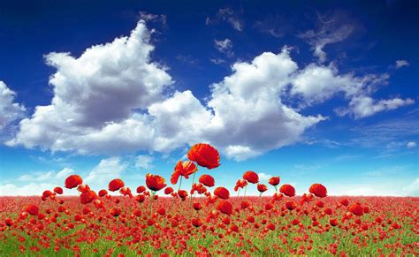 Unduh 75 Kumpulan Wallpaper Hd Sky Terbaik Background ID
