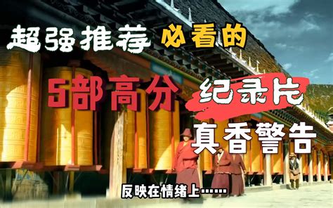 2022年必看的5部高分纪录片超强推荐真香警告 哔哩哔哩