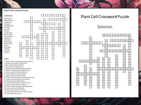 Plant Cell Crossword Puzzle Worksheet Activity Teaching Resources