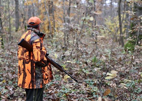 Ouverture De La Chasse Saison 2024 25 Danger Pour Les Traileurs Et