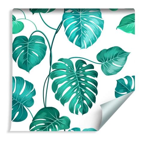 Tapeta Liście Monstera Natura TapetyOnline pl