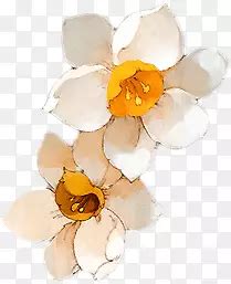 Png Zqlrdkkq